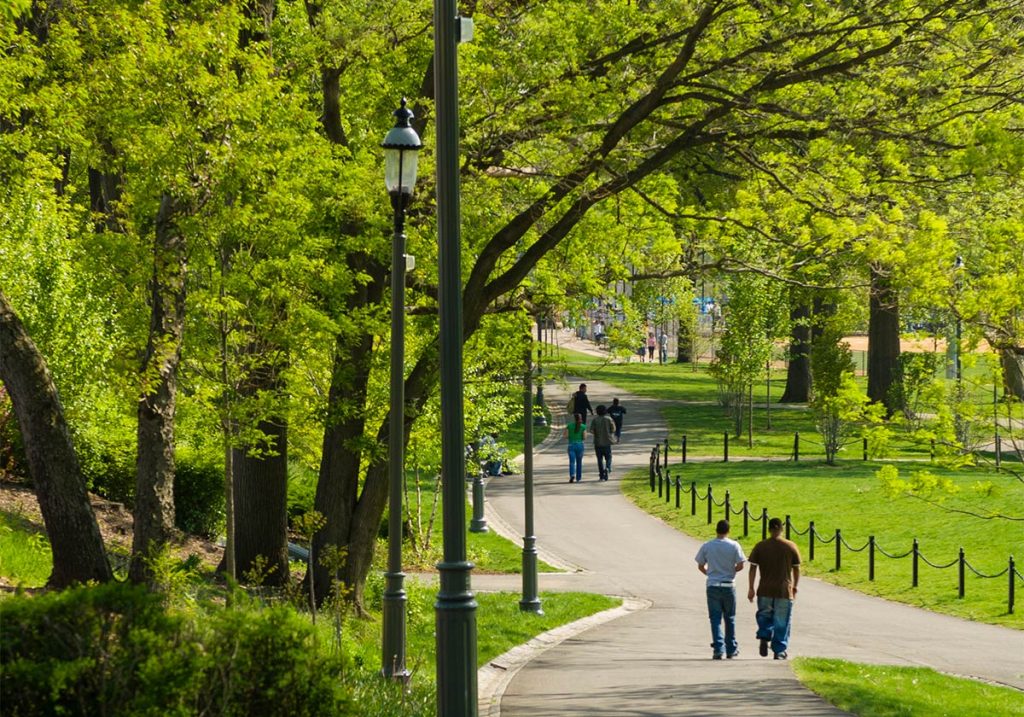 Branch Brook Park | Rhodeside Harwell